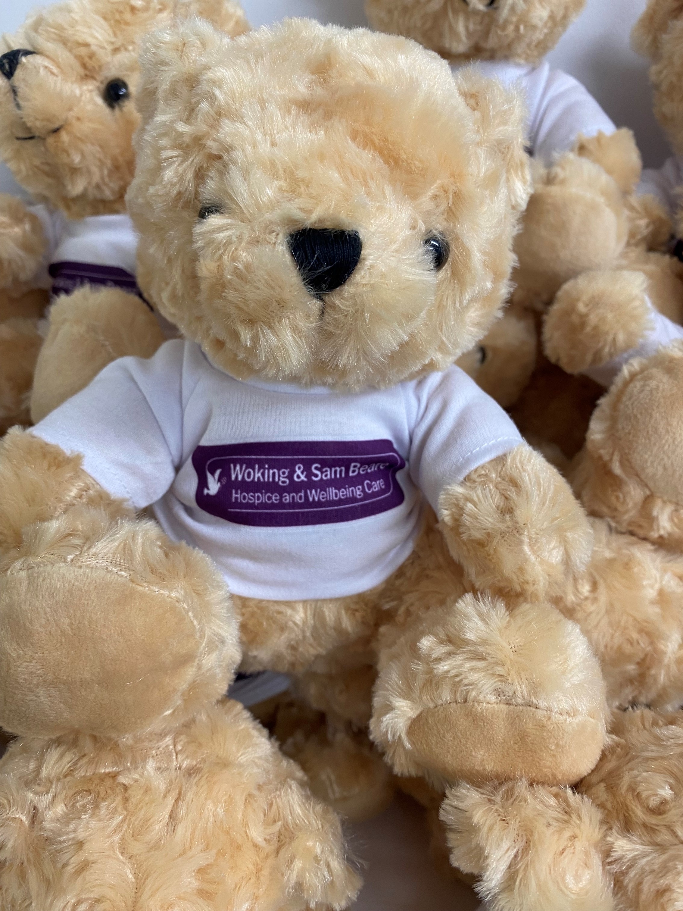 Sam Beare the Bear - Woking & Sam Beare Hospices